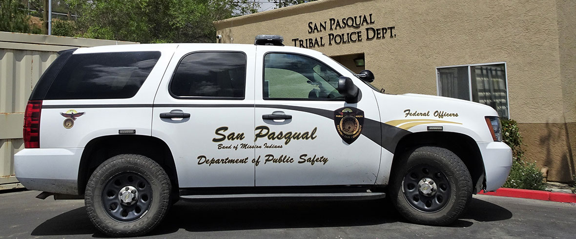 Public Safety Federal Police Department